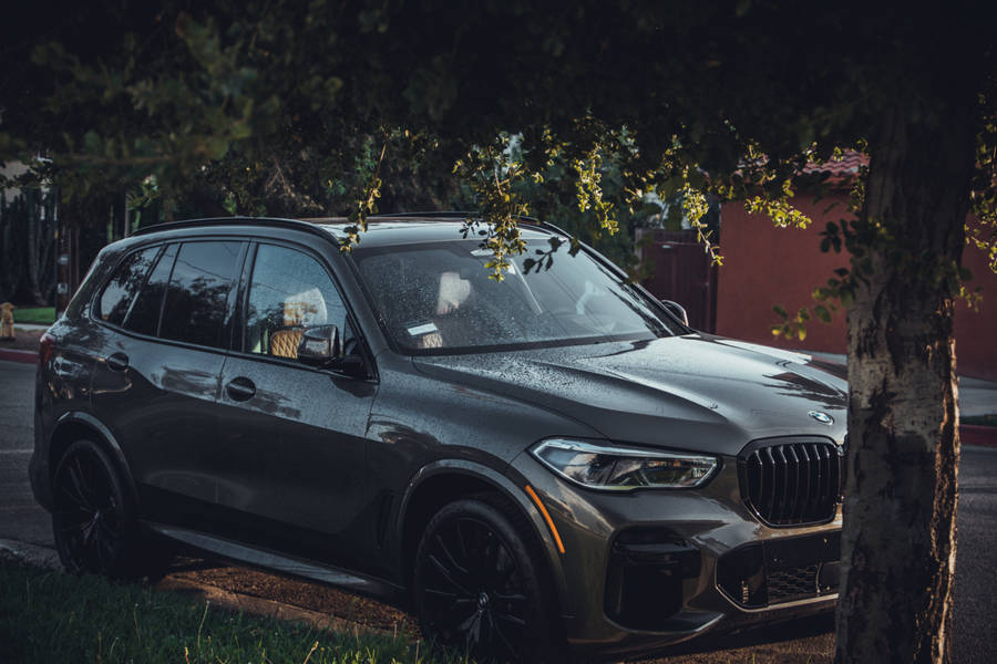4k Bmw With Black Mags Wallpaper | WallpapersOK