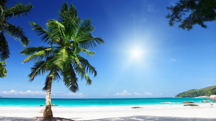 Revel In The Beauty Of A Tropical Beach Paradise. Wallpaper | WallpapersOK